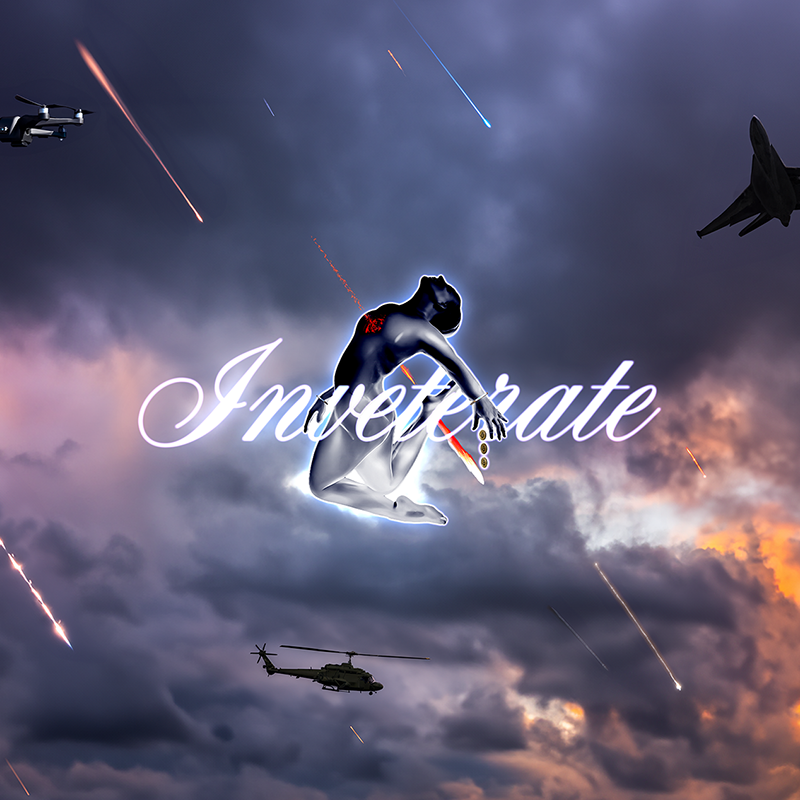 About – Inveterate Company